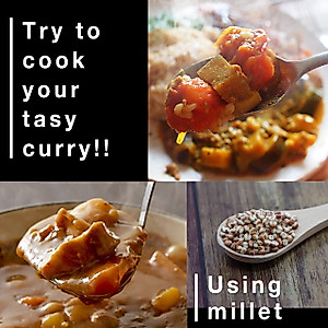 YAMASAN KYOTO UJI Curry - Japanese Food - Vegan Food - Japanese Curry Powder, Plant Based, Gluten Free, No Chemical Seasoning, FOR 4-5 DISHES, 5.29oz(150g)