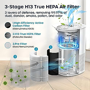 Air Purifiers for Bedroom Home, ECOWELL HEPA H13 Filter Air Purifiers for Home Large Room Office Living Room, Small Air Purifier for Pet Dander Odors Smokers Pollen Dust, Air Cleaner with Sleep Mode