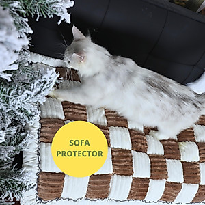 Cattasaurus Pet Couch Cover, Washable Sofa Protector for Cats & Dogs, Pet-Friendly Couch Mat for Cats & Dogs Up to 120lbs (Large, Blue Grey)