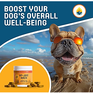 Kangaroo Dogs Hip + Joint Health Turmeric Soft Chews - Dog Supplement Made with Organic Turmeric - Supports Mobility, Immune System, Heart Health, May Reduce Joint Pain & Inflammation - 35 Treats