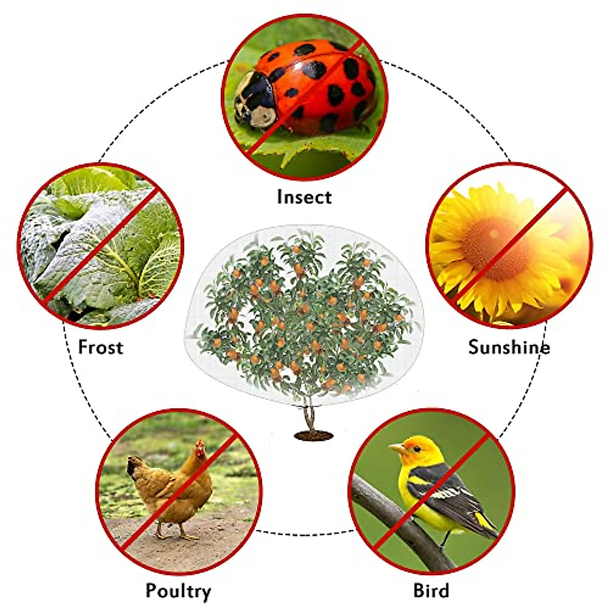 PURPLE STAR 1N 6.2 x 8.2 Feet Insect Bird Barrier Netting Mesh with Drawstring-Garden Bug Netting Plant Cover for Protect Plant Fruit Flower from Insect Bird