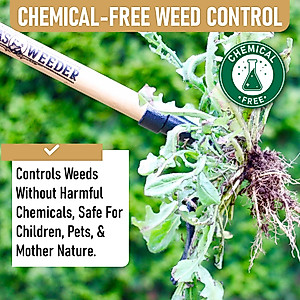 Grampa's Weeder - The Original Stand Up Weed Puller Tool with Long Handle - Made with Real Bamboo & 4-Claw Steel Head Design - Easily Remove Weeds Without Bending, Pulling, or Kneeling