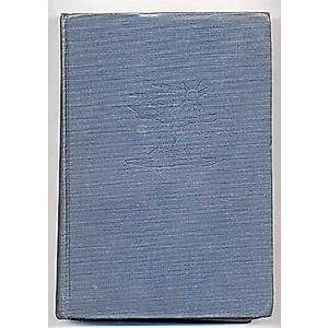 The beachcomber,: A novel