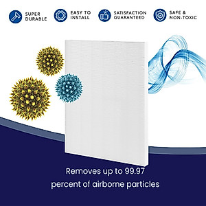Ganteny 115115 True HEPA Filter Replacement Compatible with Winix 115115 Air Purifier 5300 6300 5300-2 6300-2 P300 C535 Filter A
