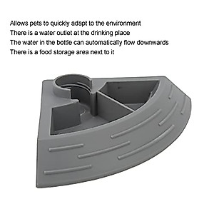 Pssopp Reptile Feeder and Waterer Automatic refilling Reptile Water Dispenser Tortoise Feeding Dish for Reptiles