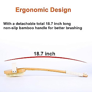 Body Brush Back Scrubber, COINPOTIA 18.7 inch Long Handle Detachable Body Brush with Dual Brushing Heads for Dry Brushing Shower, Bamboo Medium Firm Bristle Brush for Body Cellulite and Lymphatic