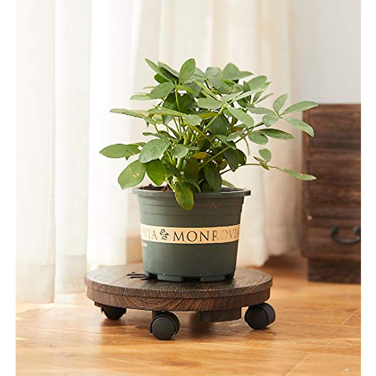 SINOBEST Wood Plant Caddy, Heavy Duty Rolling Planter Dolly with Rotating Casters, Movable Flower Pot Stand, Round Plant Rack with Wheels (10 Inch)