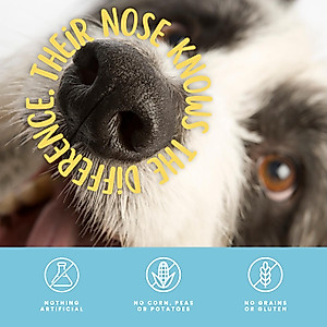 hotspot pets Beef Lung Dog Treats -1LB Resealable Bag- Slow Roasted All Natural Dehydrated Premium Beef Chew Treats for Dogs - No Hormones- Rawhide Alternative Snack for All Breeds