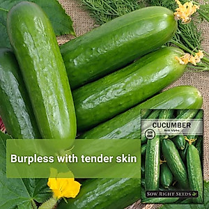Sow Right Seeds - Beit Alpha Cucumber Seeds for Planting - Non-GMO Heirloom Seeds with Instructions to Plant and Grow a Home Vegetable Garden, Great Gardening Gift (1)