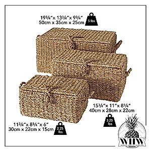Cape Cod Wicker Trunks, Set of 3, Chunky Weave, Woven Seagrass, Carry Handles, Attached Lid With Loop Over Closure, Storage and Blanket Chests, 19.75 Inches, 15.75 Inches, and 11.75 Inches