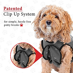 BellyGuard Recovery Suit for Dogs, After Surgery Dog Recovery Suit Female and Male, Soft Cotton Dog Surgery Suit Female Spay, Dog Surgical Recovery Suit Male Neuter, Comfy Surgical Onesie for Dogs.