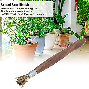 Wooden Handle Bonsai Cleaning Wire Brush, Rust Proof Garden Pot Cleaning Tools Gardening Supplies