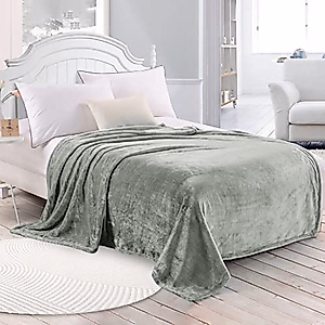 Premium Soft Throw Blankets, Fuzzy Bed Throw Blanket Sherpa Cozy and Warm, Fur Throw Blanket for Women& Man (50x60, Silver Grey Blanket)