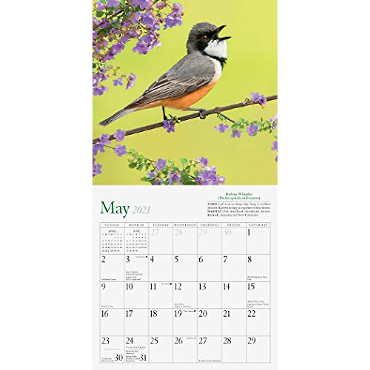 Audubon Songbirds Mini Wall Calendar 2021