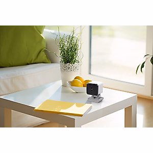 KANGAROO Indoor+Outdoor Camera | Security Camera Outdoor + Indoor WiFi | Weatherproof Outside Camera | 1080p Indoor/Outdoor Camera