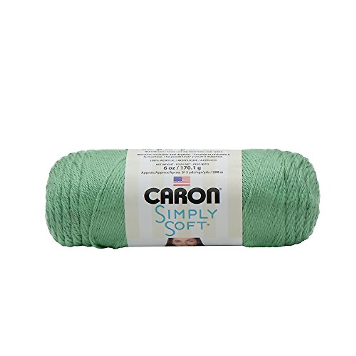 Caron Simply Soft Sage Yarn - 3 Pack of 170g/6oz - Acrylic - 4 Medium (Worsted) - 315 Yards - Knitting/Crochet