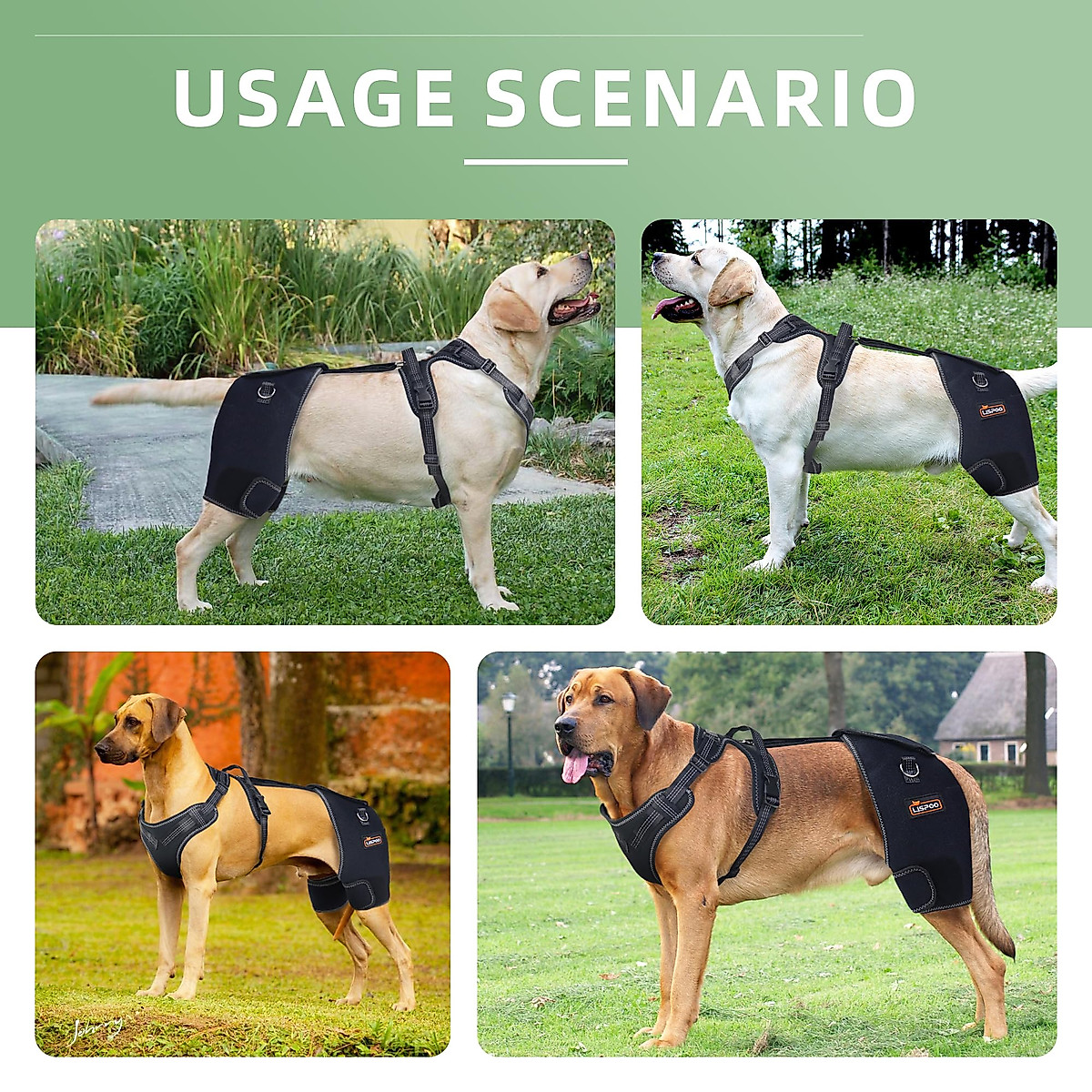 KERBIY LISPOO Dog Hip Support Brace for Hip Dysplasia,Hip Joint Pain, Hip Brace for Dogs with Low Back Pain/Weakness, Dog Hip Dysplasia Brace Warm Hip Joint to Relieves Pain, Dog Hip Brace(XXL)