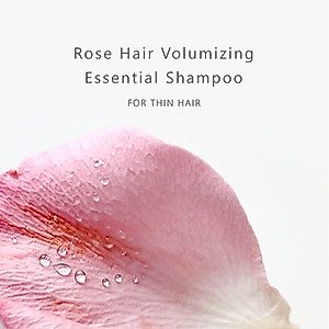 AROMASE Rose Hair Volumizing Essential Shampoo for Hair Loss, Shedding hair, Thinning hair with Natural DHT Blocker-5α AVOCUTA adds Volume For Oily, Flat Hair, Damask Rose Oil fragrance 14.1 Fl. Oz