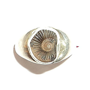 Sudarshan Shaligram Ring In Pure Silver