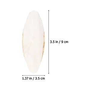 EXCEART 30pcs Bird Cuttlebone Natural Cuddle Bone Bird Beak Stone Beak Grinder Parrot Chew Toys Molar Toy for Parakeets Cockatiel Macaw