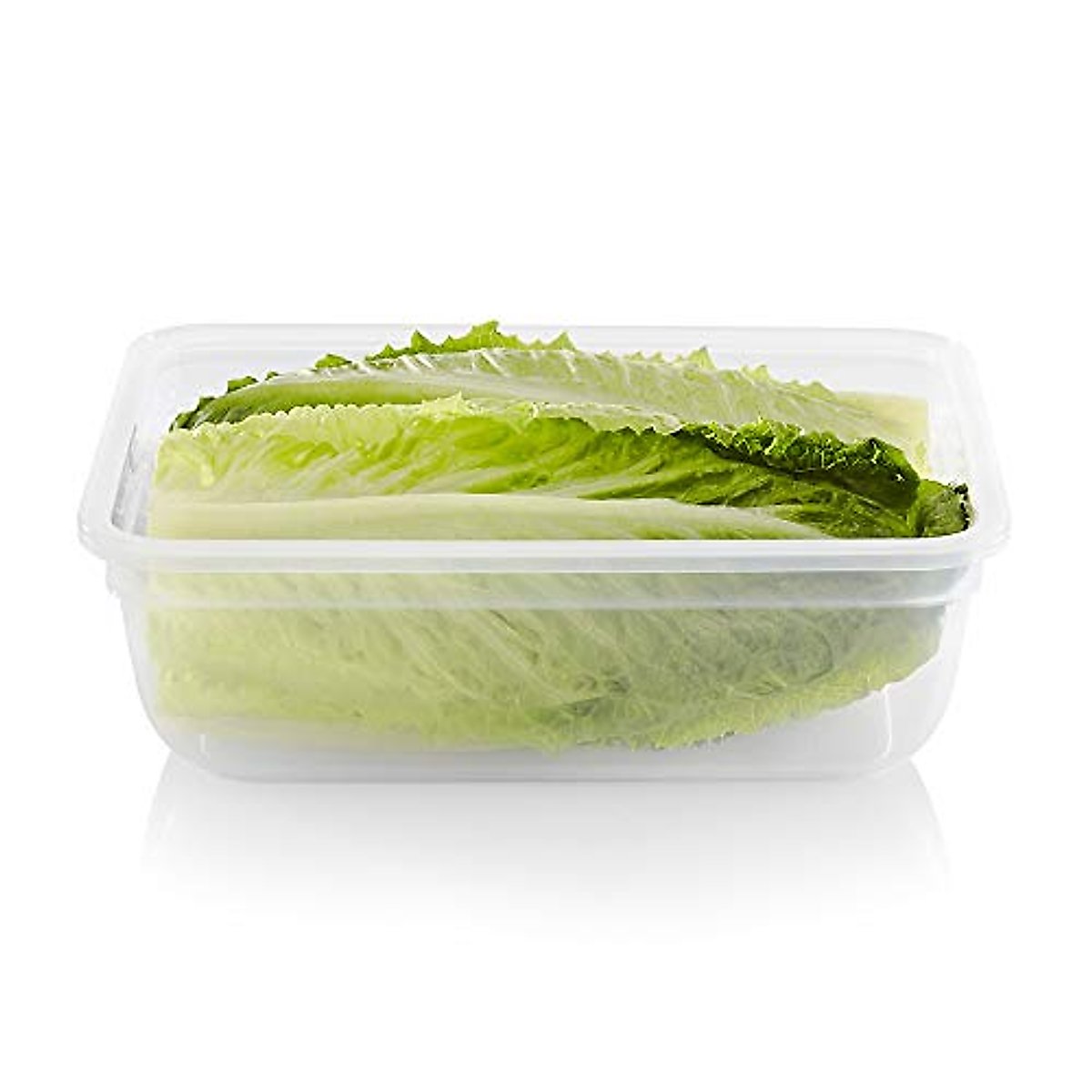Snapware Total Solution 6-Pc Plastic Food Storage Containers Set with Lids, 8.5-Cup Rectangle Meal Prep Container, Non-Toxic, BPA-Free with 4 Locking Tabs, Microwave, Dishwasher, and Freezer Safe