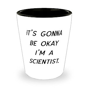 It's Gonna Be Okay I'm a Scientist. Shot Glass, Scientist Ceramic Cup, Beautiful For Scientist