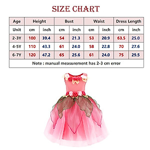 MDYCW Princess Fairy Costume for Toddler Girls, Birthday Party Fairy Dress Up, Special Occasion Dress, Pink