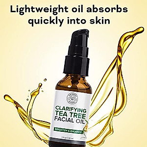 Beauty Foundry Clarifying Tea Tree Facial Oil, Targets Acne and Uneven Skin Tone, Antioxidant-Rich Beauty Oil, 1-fl oz/30ml (1 Pack)
