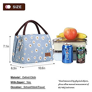 Buringer Reusable Insulated Lunch Bag Cooler Tote Box Meal Prep for Men & Women Work Picnic or Travel (Flying Flowers)
