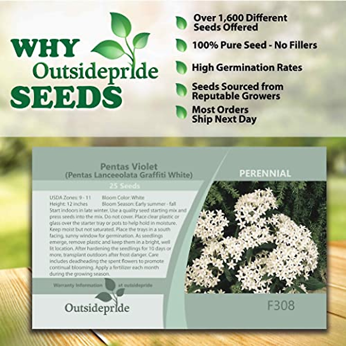 Outsidepride Pentas White Garden Flower Container Plant - 50 Seeds