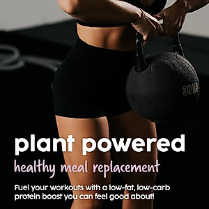 BOWMAR NUTRITION Vegan Protein, Vegan Gluten Free Protein Powder, 20-22g of Protein, Low Fat, Delicious Tasting. Pea, Pumpkin Seed, Watermelon Seed, & Sunflower Seed Protein (Blueberry Donut)