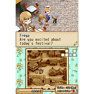 Harvest Moon: Grand Bazaar - Nintendo DS