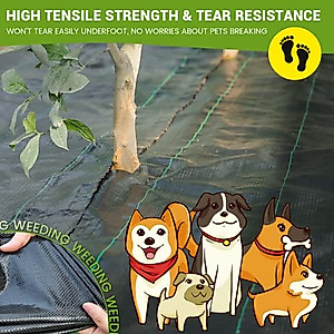 WEEDING 3ft x300ft Weed Barrier- 3.2oz Heavy Duty Woven Weed Barrier Landscape Fabric for Weeds Control, Pro Garden Ground Cover - Easy Setup& Convenient Design, Black