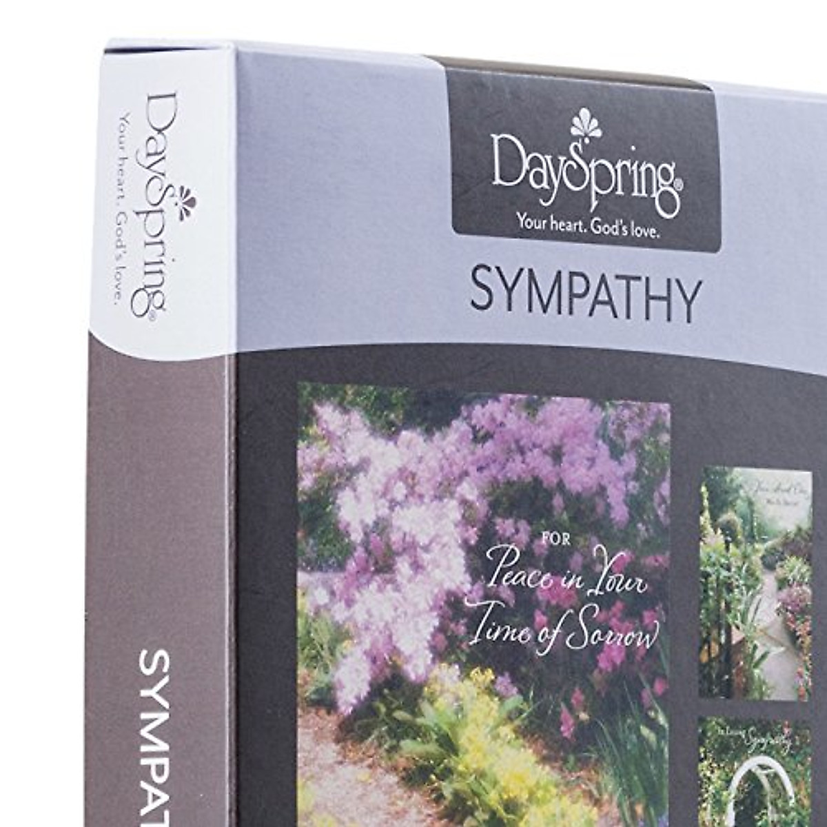 Dayspring - Sympathy - Peaceful Paths - 12 Boxed Cards, KJV (62988), Multi