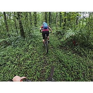 GoPro HERO8 Black Bundle - Includes HERO8 Black Camera, Shorty, Head Strap, 32GB SD Card, and 2 Rechargeable Batteries