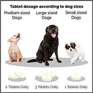 PETAVIT for Dogs and Cats