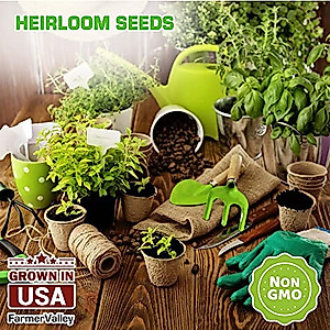 15 Culinary Medicinal Herb Seeds Pack for Planting Indoors and Outdoors - 100% Heirloom, USA Grown, Non GMO - Good for Hydroponic Garden - Arugula, Chives, Cilantro, Italian Basil, Parsley, and More
