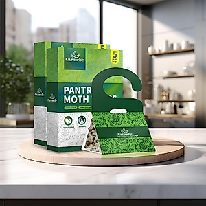 10 Pack Pantry Moth Traps - Glue Traps with Pheromone - Effective & Non-Toxic for Closet, Pantry & Kitchen - Moth Traps for Meal Moth Killer, Sticky Glue Flies Pest Food and Cupboard Moth Killer