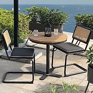 MeetLeisure Patio Dining Chair Set of 2 with Waterproof Design Fabric for Outdoor Mid-Century Modern Chairs with Metal Chrome Legs, Armless Mesh Back Cane Chairs, Black