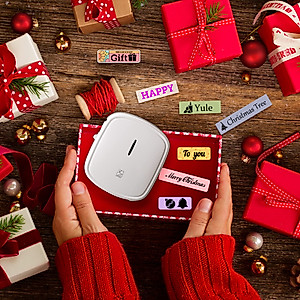 Label Makers Machine with Tape Built-in Cutter Portable Bluetooth Handheld Sticker Printer for Home Office Organization iOS Android Multiple Templates Fonts Icon Mini Inkless Labeler USB Rechargeable