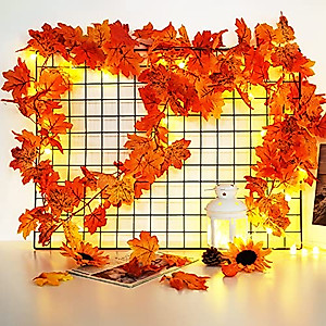 Dolicer 2 Packs 12Ft Fall Garland Maple Leaf, Fall Foliage Garland, Artificial Fall Hanging Garland Vine with Special Pumpkin Sign for Thanksgiving Door Fireplace Party Home Decor
