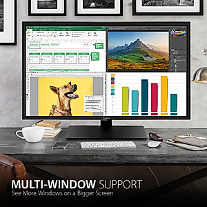 ViewSonic VX4381-4K 43" UHD 4K Monitor Widescreen with HDR10 Support, Eye Care, HDMI, USB, DisplayPort (Renewed)