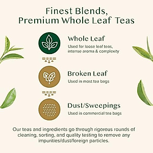 VAHDAM, Organic Green Tea Leaves From Himalayas (100 Green Tea Bags) USDA Organic, Non GMO, Gluten Free, High Grown | Whole Loose-Leaf Tea Bags | Resealable Ziplock Pouch