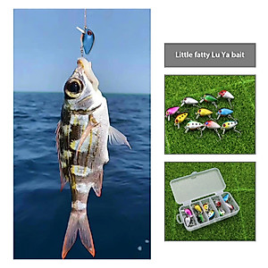 Create idea 10PCS Fishing Lures with Treble Hook Crankbaits Mini Artificial Fishing Hard Baits for Trout Bass Freshwater Saltwater Fishing Tackle Fishing Gear