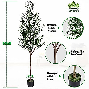 Innoasis Artificial Olive Tree 6FT Tall Large Faux Plants Olive Silk Tree with Branches and Fruits in Pot Fake Trees Indoor Outdoor Decor for Home Office Living Room Floor