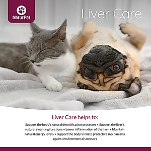 NaturPet Liver Care for Cats and Dogs | Milk Thistle Extract to Support Pets Health | 100mL