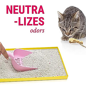 CatFresh Oatmeal Skin & Coat Spray Cleanses & Detangles, Soothes Irritations That Cause Excessive Licking, Chewing & Scratching, Moisturizes & Rejuvenates Skin, Neutralizes Odors & Removes Dander