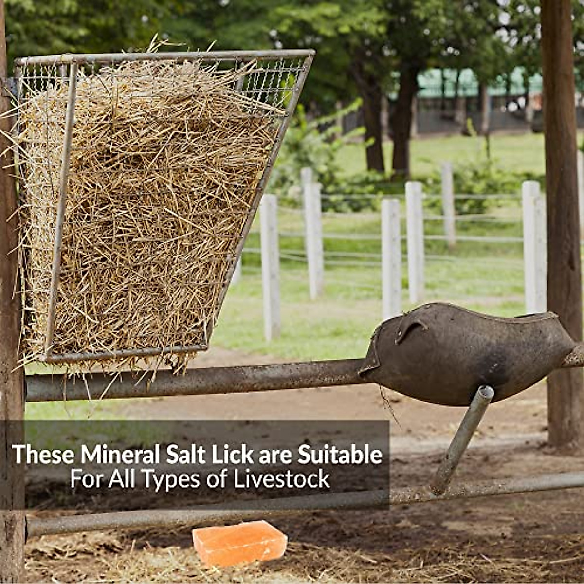 Himalayan Nature Horse Licking Salt, Animal Licking Mineral Salt Brick - 5 Lbs