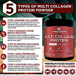 Multi Collagen Protein Powder Hydrolyzed (Type I II III V X) Grass-Fed All-in-One Super Bone Broth + Collagen Peptides - Premium Blend of Grass-Fed Beef, Chicken, Wild Fish, Eggshell Collagen