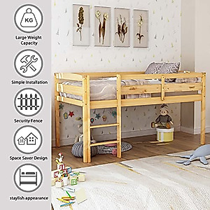 OTRIEK Twin Size Low Wood Loft Bed Frame with Ladders and Guard Rails for Boys Girls and Junior, No Box Spring Needed, Under Bed Storage (Walnut)
